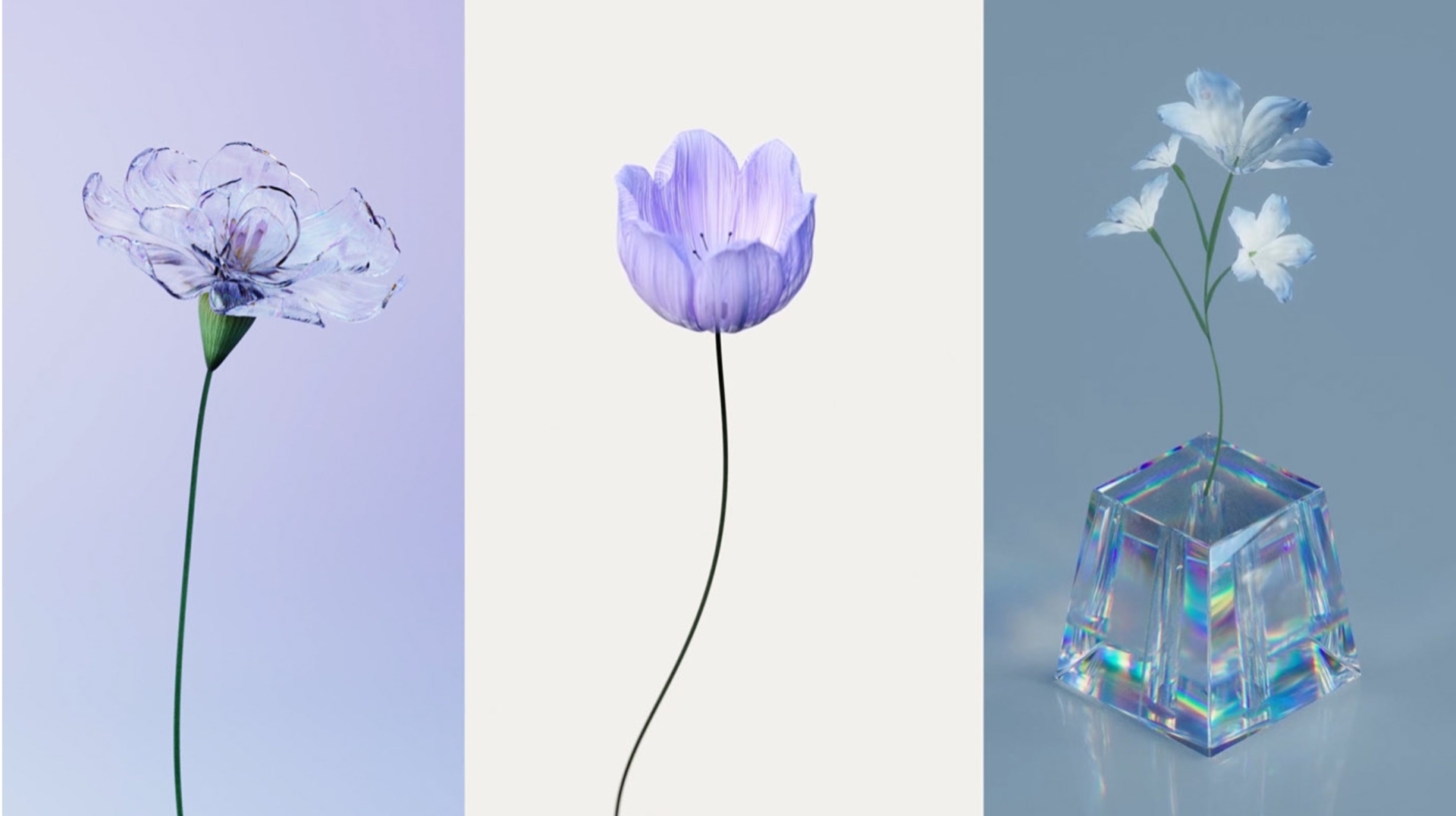 Flower Study – WHATNESS